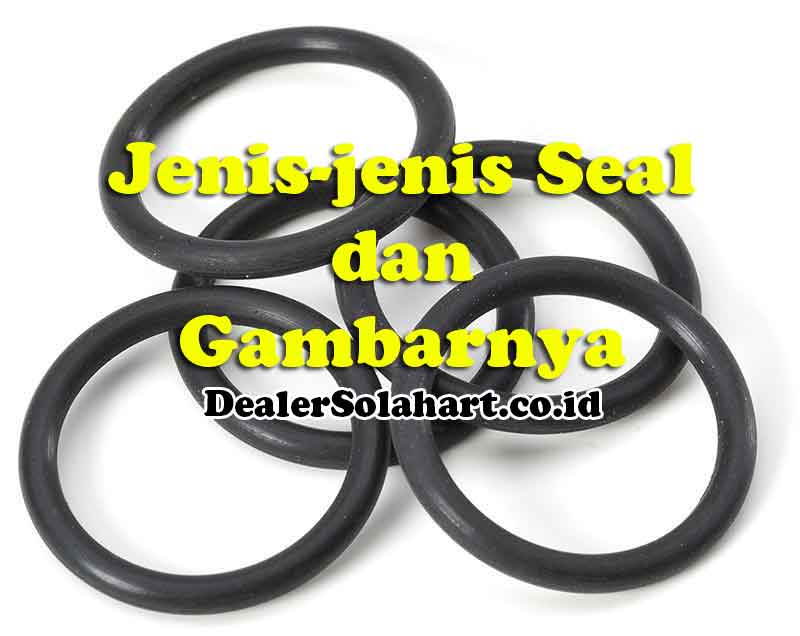 Jenis-jenis Seal dan Gambarnya - Dealer Solahart